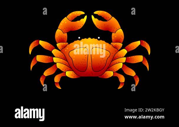 Black white drawing crab Stock Videos & Footage - HD and 4K Video Clips ...