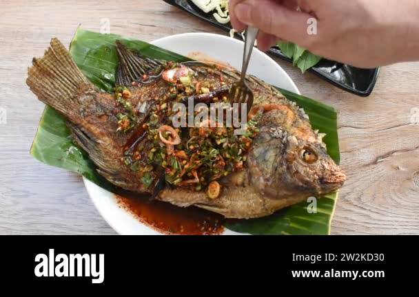 Mango fish Stock Videos & Footage - HD and 4K Video Clips - Alamy