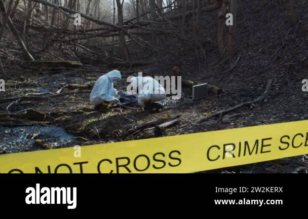 Forensic specialist working in the forest. Police criminalists ...