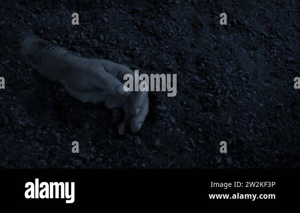 Dead buried woman hand Stock Videos & Footage - HD and 4K Video Clips ...