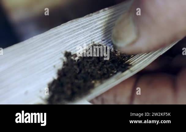 Making cigarette Stock Videos & Footage - HD and 4K Video Clips - Alamy