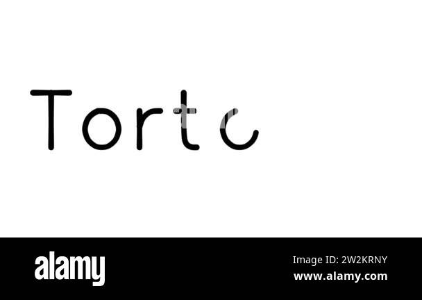 Tortoise Handwritten Text Animation in Various Sans-Serif Fonts and ...