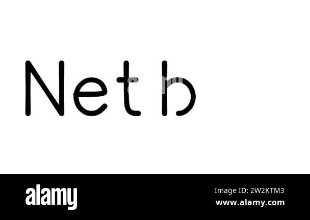 Netball Handwritten Text Animation in Various Sans-Serif Fonts and ...
