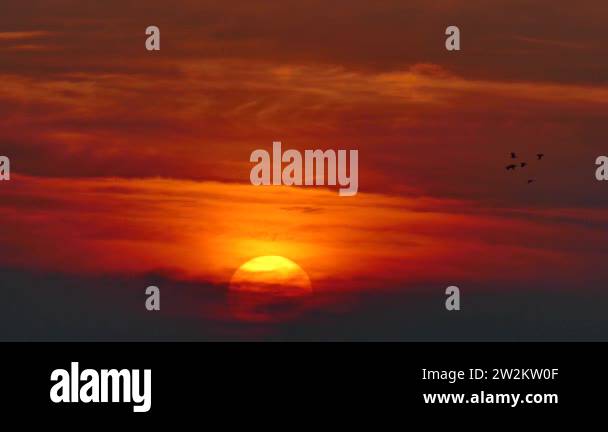 Completely set Stock Videos & Footage - HD and 4K Video Clips - Alamy