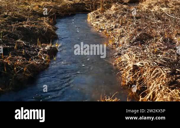 Water bubbling spring Stock Videos & Footage - HD and 4K Video Clips ...