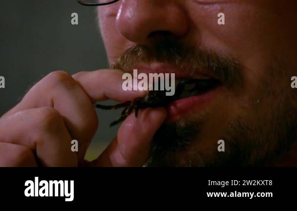 Man eating spider Stock Videos & Footage - HD and 4K Video Clips - Alamy