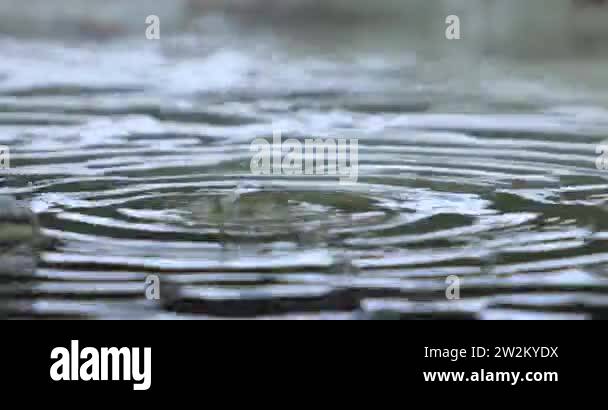 Water droplets falling icy puddle Stock Videos & Footage - HD and 4K ...