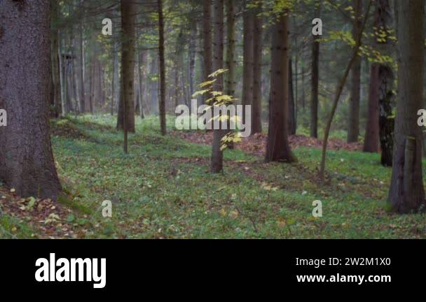 Calm wallpaper Stock Videos & Footage - HD and 4K Video Clips - Alamy