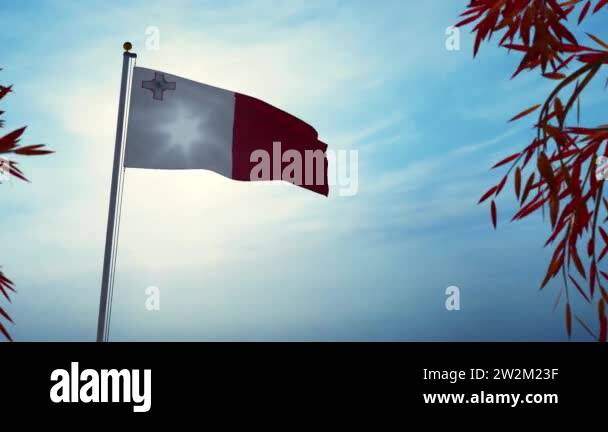 Malta flag flying through trees with sun. Backlit Maltese emblem on ...