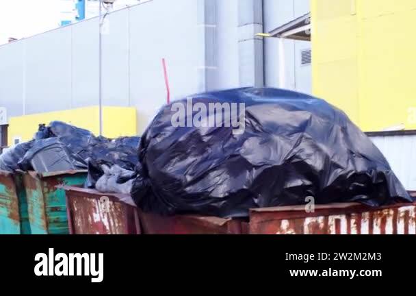 Full garbage containers with large black bags of garbage in wind close ...