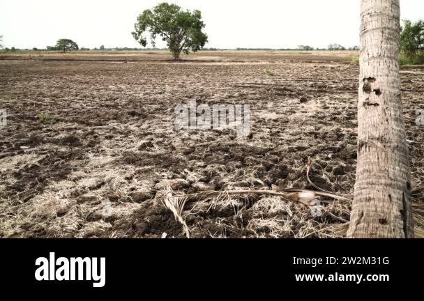 Arid conditions Disaster ,Summer arid farmland.Waiting for rainwater in ...