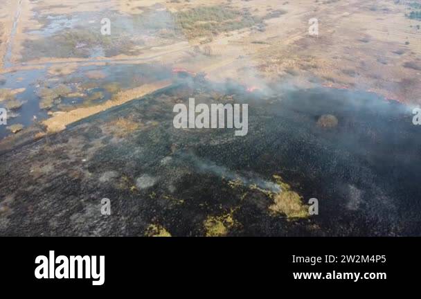Dry grass burning in the field. Aerial view of smoking wild fire. Large ...