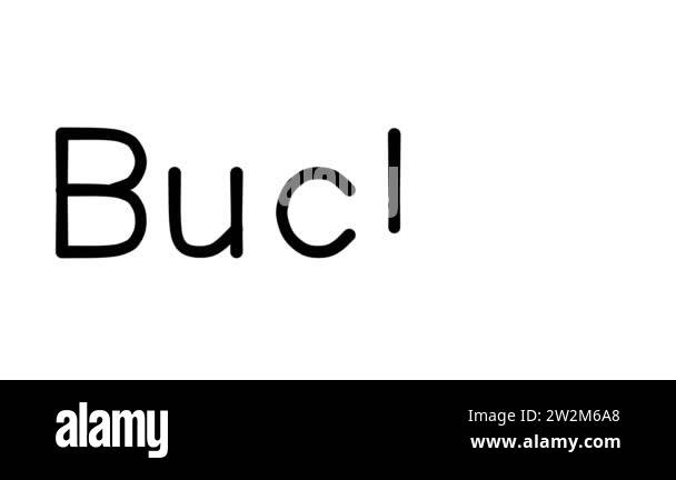 Bucket Handwritten Text Animation in Various Sans-Serif Fonts and ...