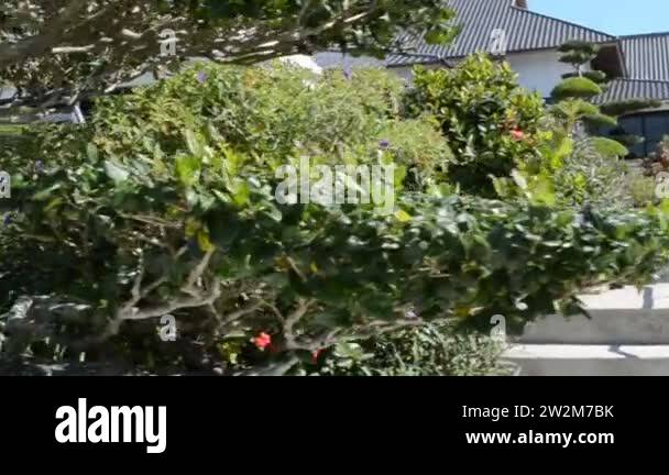 Steps in garden nature Stock Videos & Footage - HD and 4K Video Clips ...