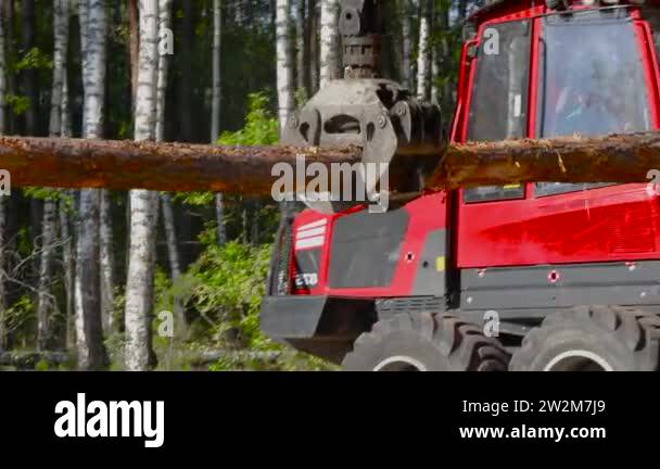 Timber loading, loading logs into a truck, timber processing ...