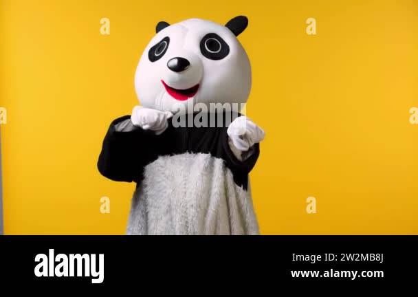 Person in panda bear costume Stock Videos & Footage - HD and 4K Video ...
