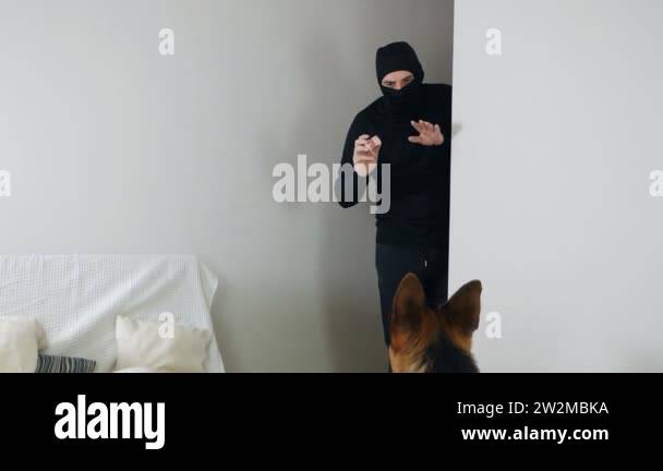 Burglary and entry for the purpose of committing a crime. A masked ...