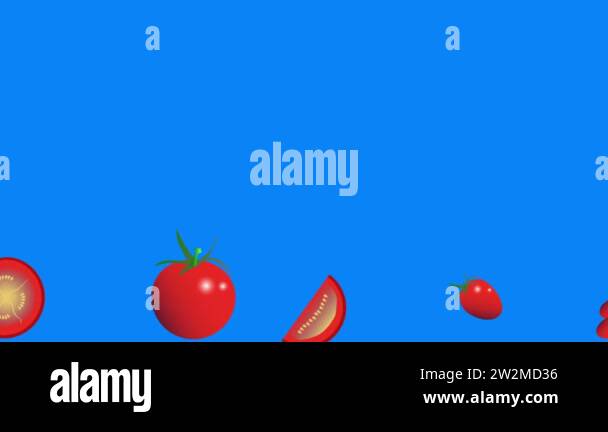 Tomatoes group graphic elements animation, seamless loop, blue screen ...