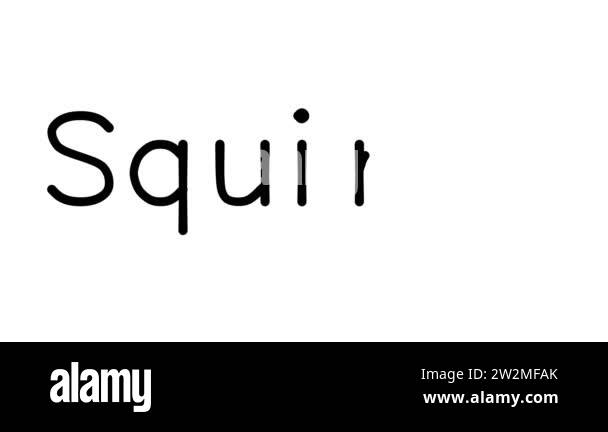 Squirrel Handwritten Text Animation in Various Sans-Serif Fonts and ...