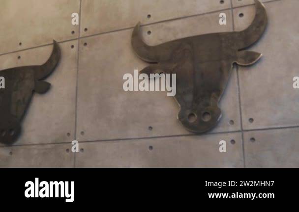 Bull sign Stock Videos & Footage - HD and 4K Video Clips - Alamy