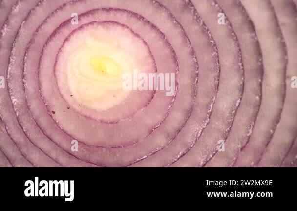 Vegetable onion red food Stock Videos & Footage - HD and 4K Video Clips ...