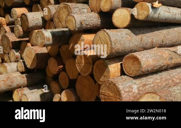 Baulk of timber Stock Videos & Footage - HD and 4K Video Clips - Alamy