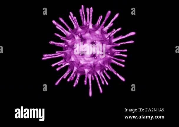 A virus is a small infectious agent that replicates only inside the ...