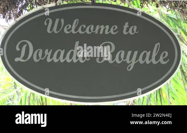 Logo dorado Stock Videos & Footage - HD and 4K Video Clips - Alamy