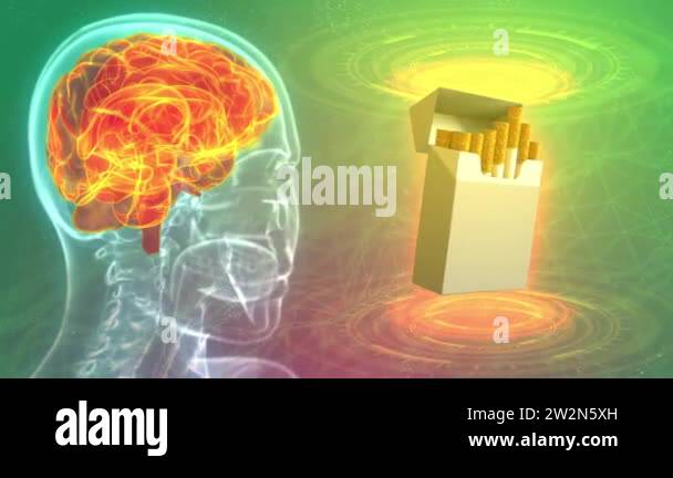 x ray human head image with highlighted brain and cigarette pack ...