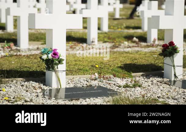 Darwin cemetery Stock Videos & Footage - HD and 4K Video Clips - Alamy