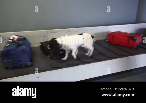 Dynamite border Stock Videos & Footage - HD and 4K Video Clips - Alamy