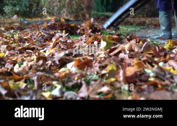 Clearing up a garden Stock Videos & Footage - HD and 4K Video Clips - Alamy