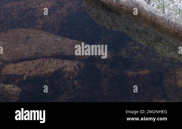 Lake bottom visible Stock Videos & Footage - HD and 4K Video Clips - Alamy