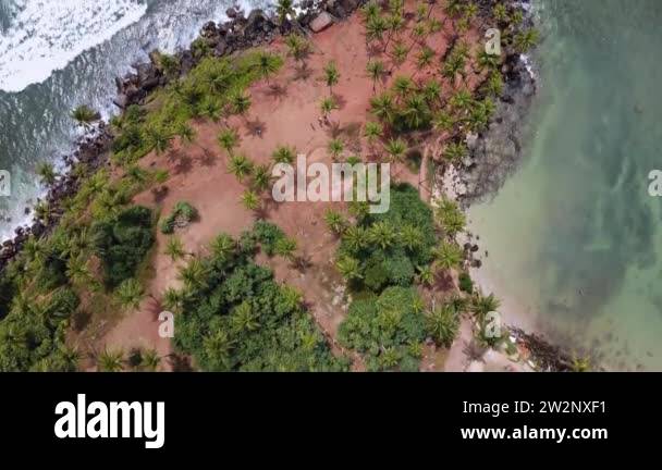 Coconut tree hill in Stock Videos & Footage - HD and 4K Video Clips - Alamy
