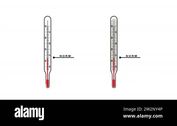 Thermometers measure the temperature. Thermometer reading. Infographics ...