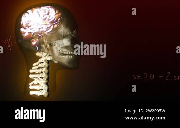 Animation of 3d glowing human brain rotating in seamless loop over ...