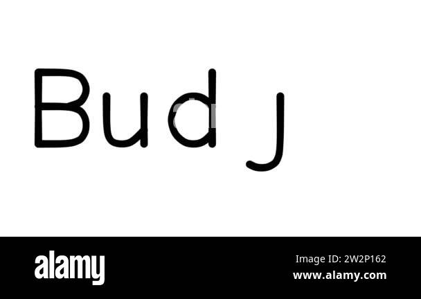 Budget Handwritten Text Animation in Various Sans-Serif Fonts and ...