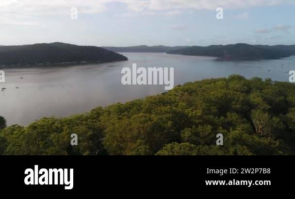 Gum trees in river Stock Videos & Footage - HD and 4K Video Clips - Alamy