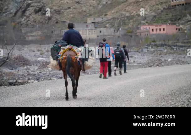 Man on donkey carrying stuff and trekkers in small village at the ...