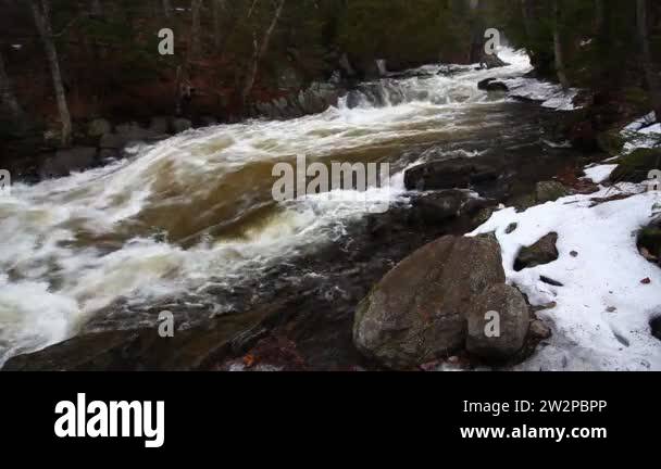 Brooks falls Stock Videos & Footage - HD and 4K Video Clips - Alamy