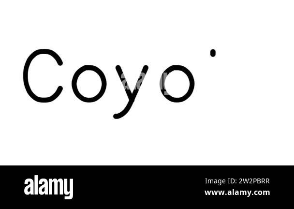 Coyote Handwritten Text Animation in Various Sans-Serif Fonts and ...