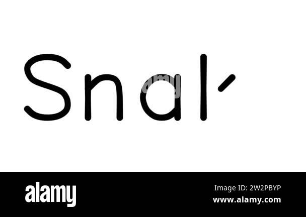 Snake Handwritten Text Animation in Various Sans-Serif Fonts and ...