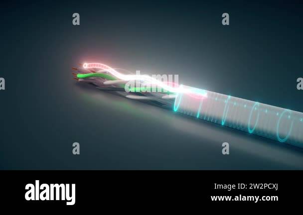 Utp cable Stock Videos & Footage - HD and 4K Video Clips - Alamy