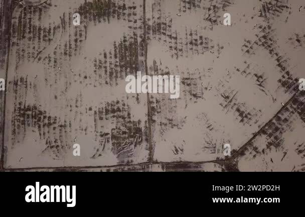 Bill of bird Stock Videos & Footage - HD and 4K Video Clips - Alamy