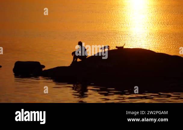 Stone path over water Stock Videos & Footage - HD and 4K Video Clips ...