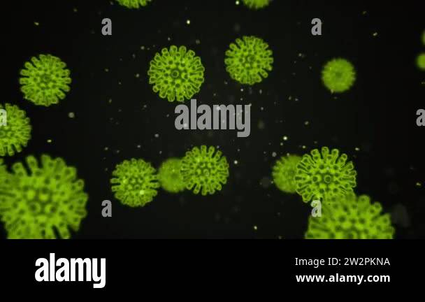 Movement of pathogenic microorganisms in the human body.Virus And ...