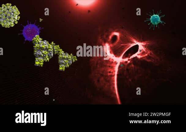 Medical illustration 2d, 3d animation background of cells, bacteria ...