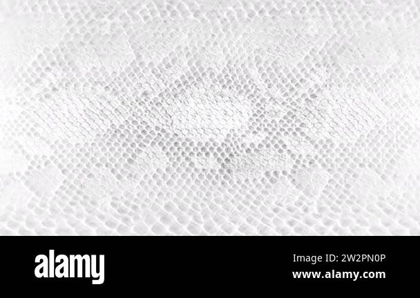 Natural snake skin texture Stock Videos & Footage - HD and 4K Video ...