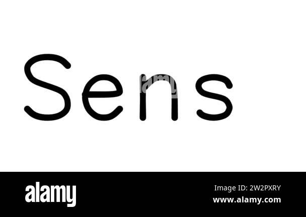 Sense Handwritten Text Animation in Various Sans-Serif Fonts and ...