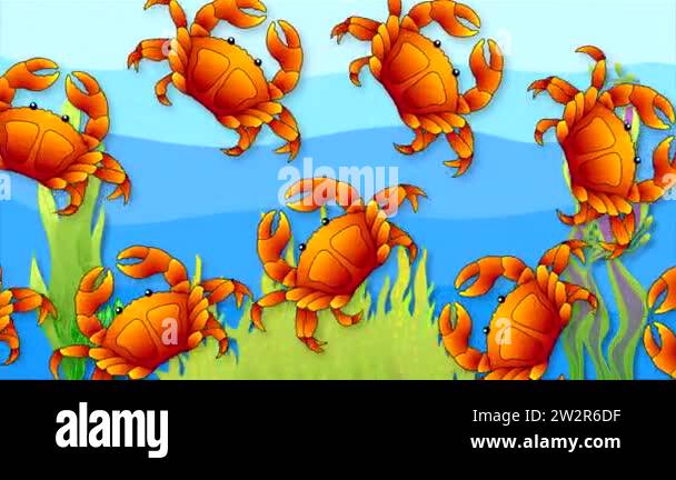 Red crabs swim horizontally rotating and moving claws and paws against ...